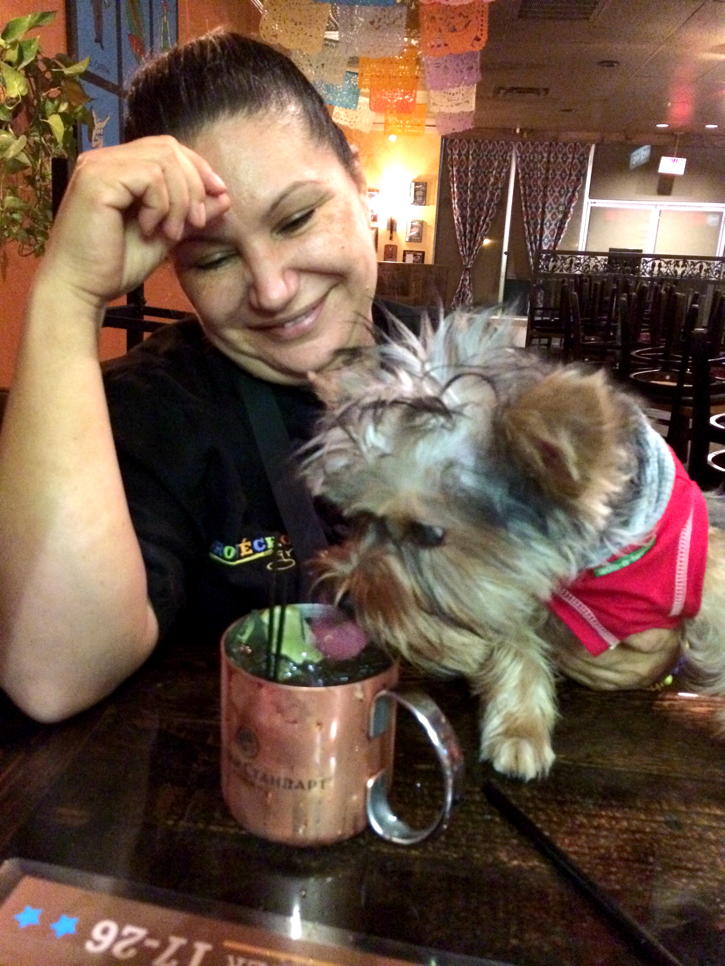 Jameson Mule Whiskey Cocktail Recipe – Chef Rosie O'Connor