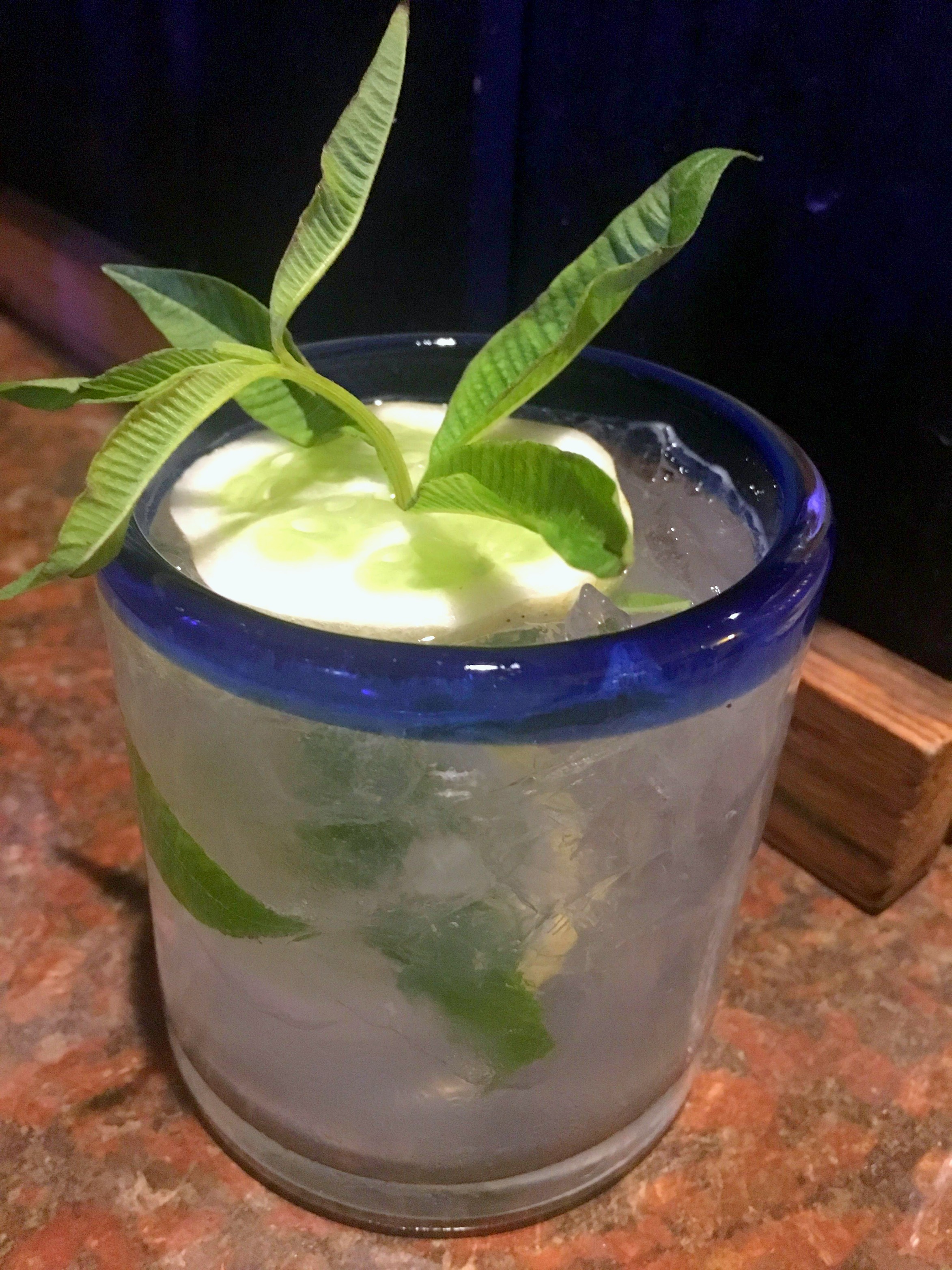 Lemon Cucumber Cocktail Recipe - Chef Rosie O'Connor